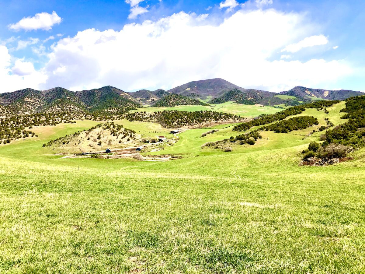 New Castle Highlands at Porter Ranch - Wellspring Development Group